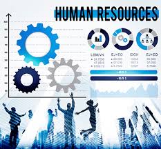 HUMAN RESOURCES METRICS AND ANALYTICS – Impact Consulting